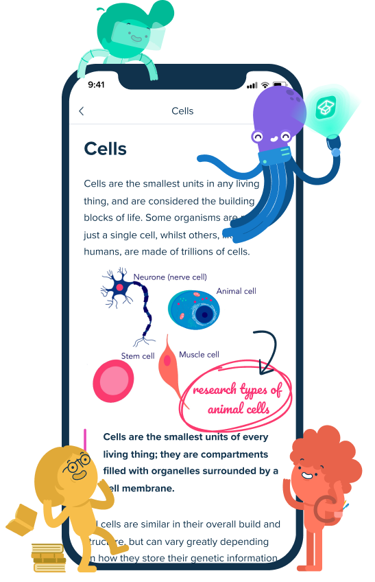 StudySmarter | The #1 learning app for university & school